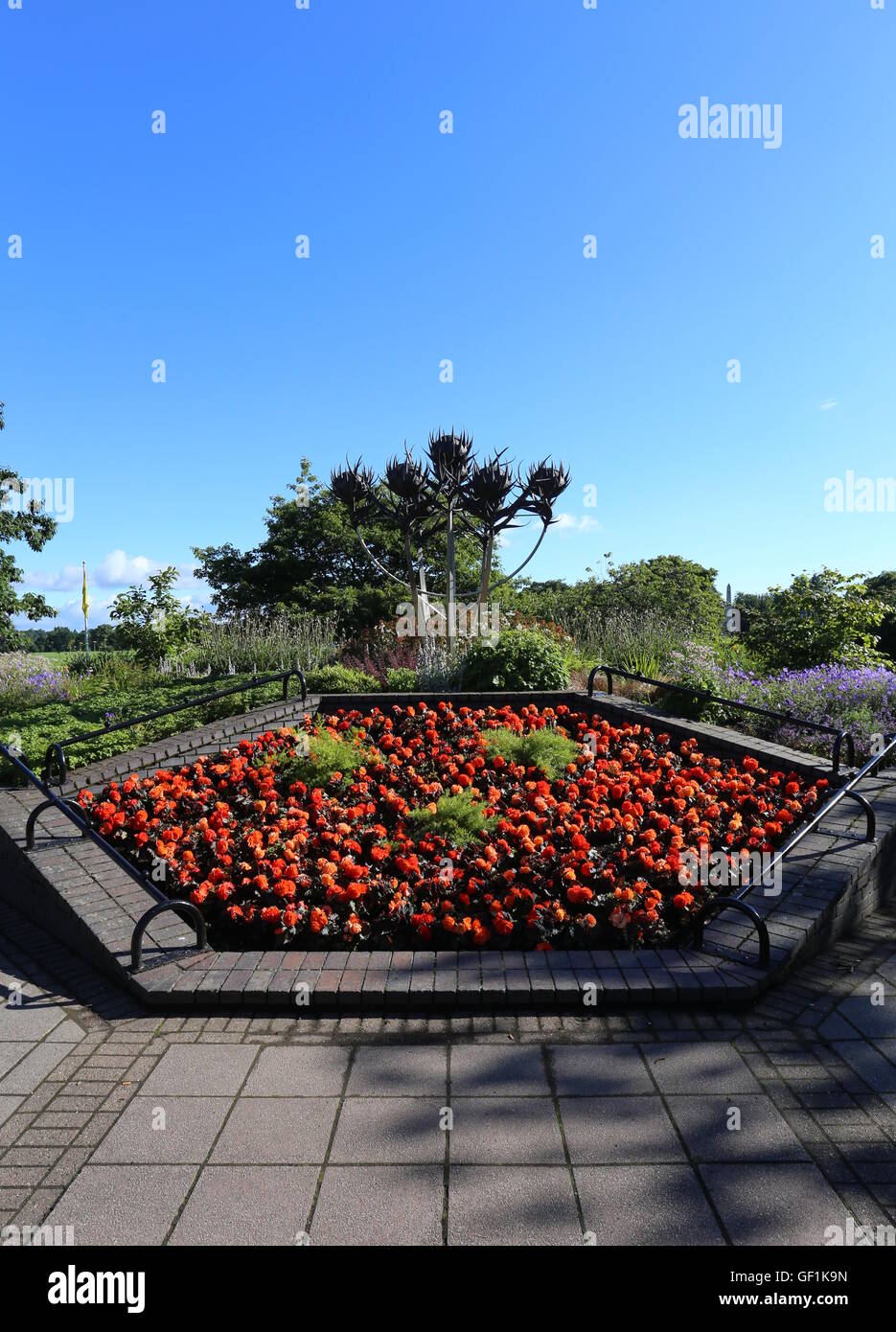 North inch scotland hi-res stock photography and images - Alamy