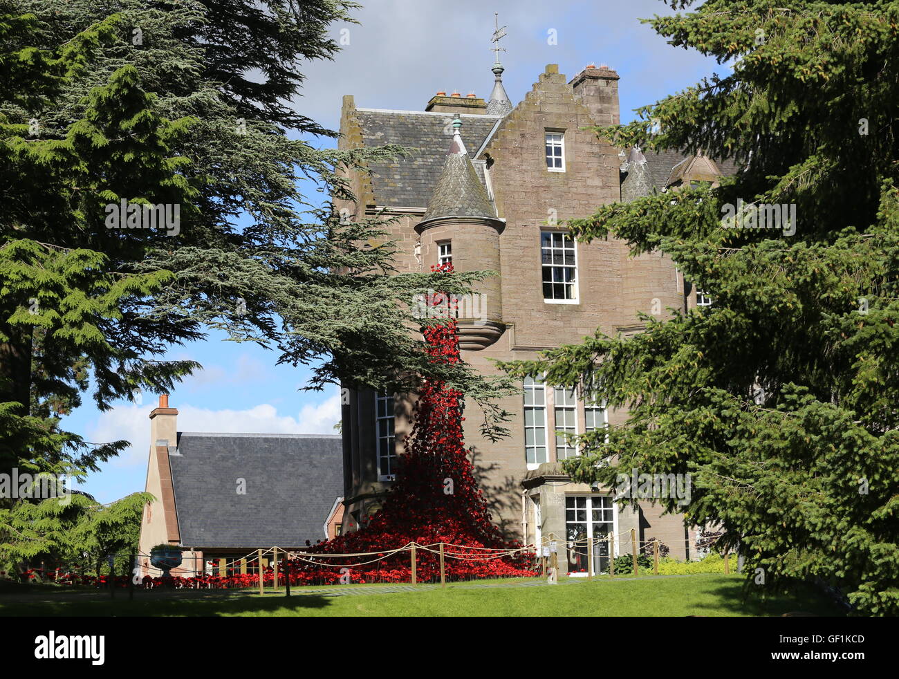 Poppies Weeping Window by Paul Cummins, Artist, and Tom Piper, Designer ...