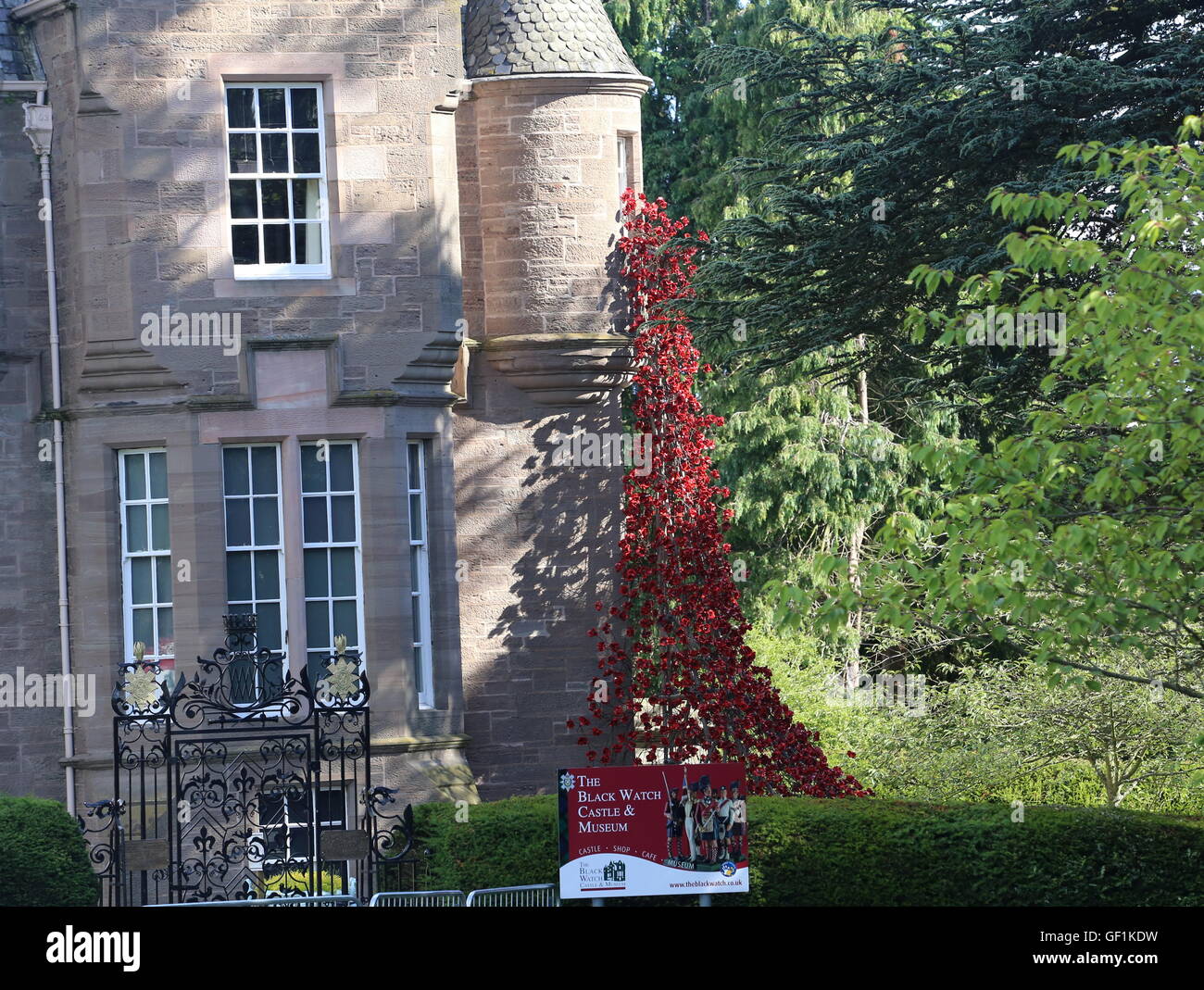 Poppies Weeping Window by Paul Cummins, Artist, and Tom Piper, Designer ...