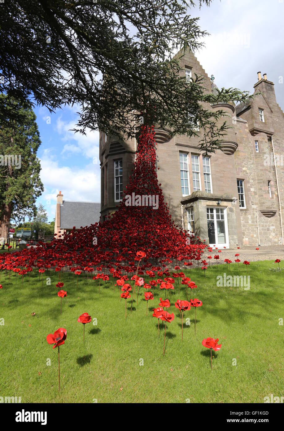 Poppies Weeping Window by Paul Cummins, Artist, and Tom Piper, Designer ...