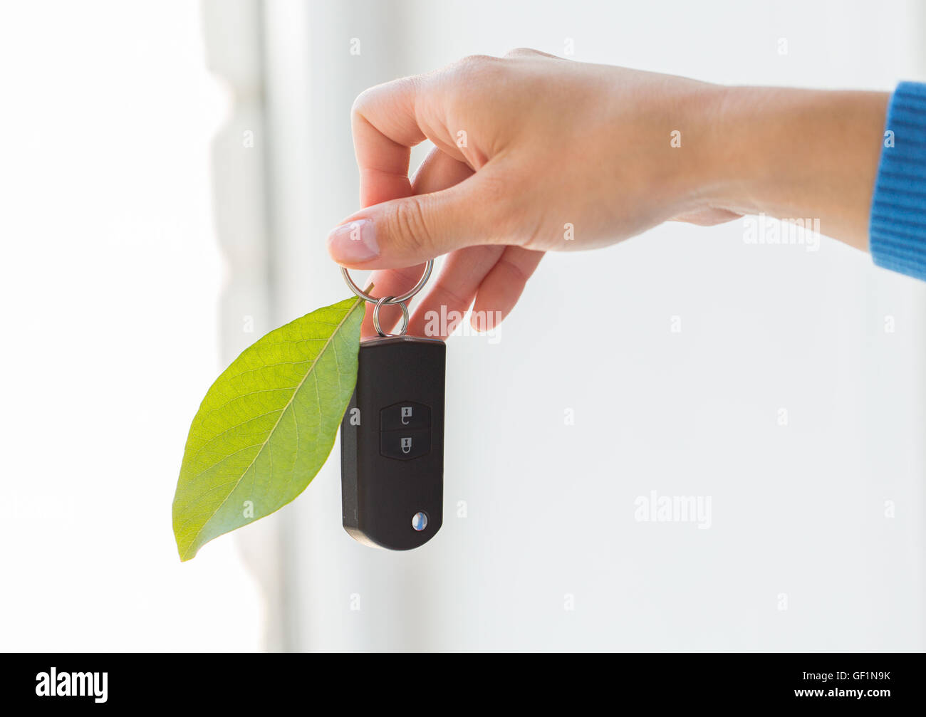 close up of hand holding car key with green leaf Stock Photo - Alamy