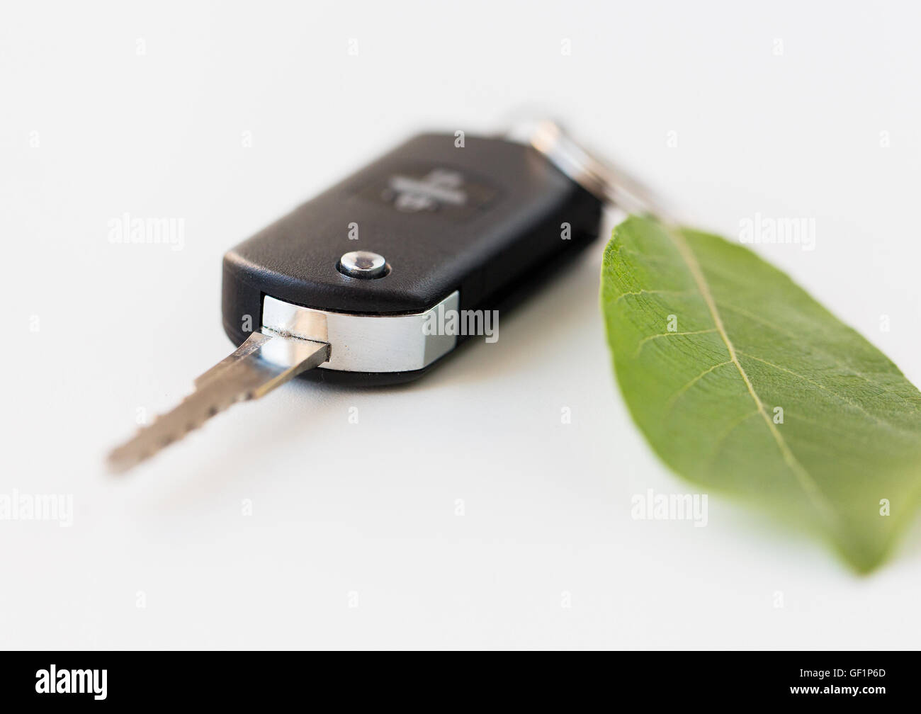 close up of car key and green leaf Stock Photo - Alamy