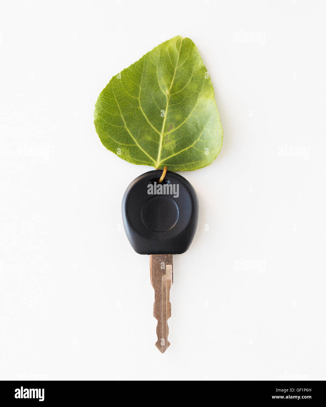 Key layout Cut Out Stock Images & Pictures - Alamy