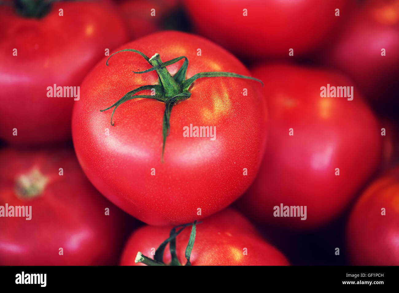 close up of red tomatoes Stock Photo - Alamy