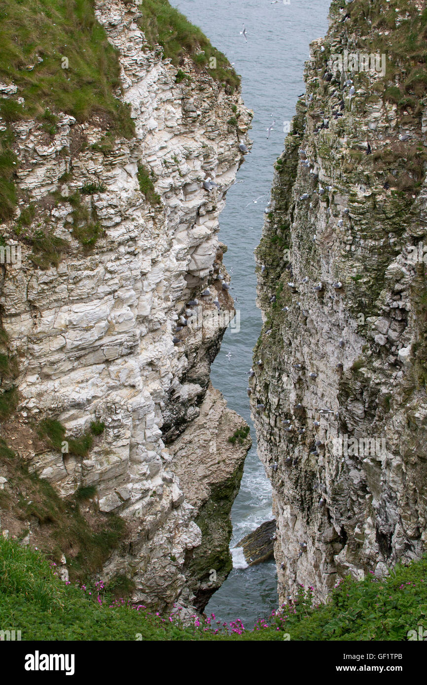 View of sea through steep sided cliffs, Bempton Cliffs, Yorkshire, UK ...