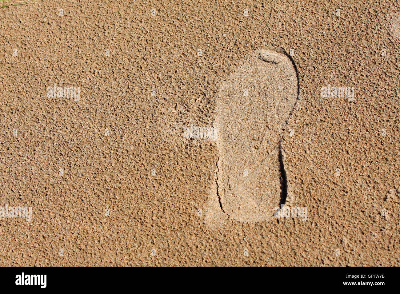 Single footprint on a sandy beach Stock Photo - Alamy