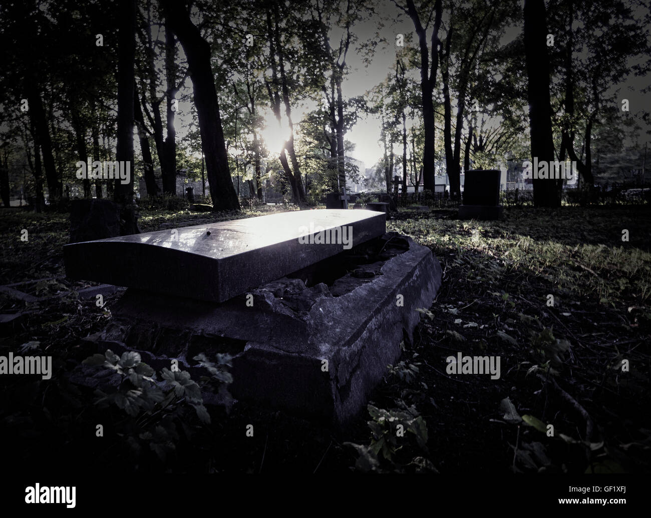 Open grave hi-res stock photography and images - Alamy