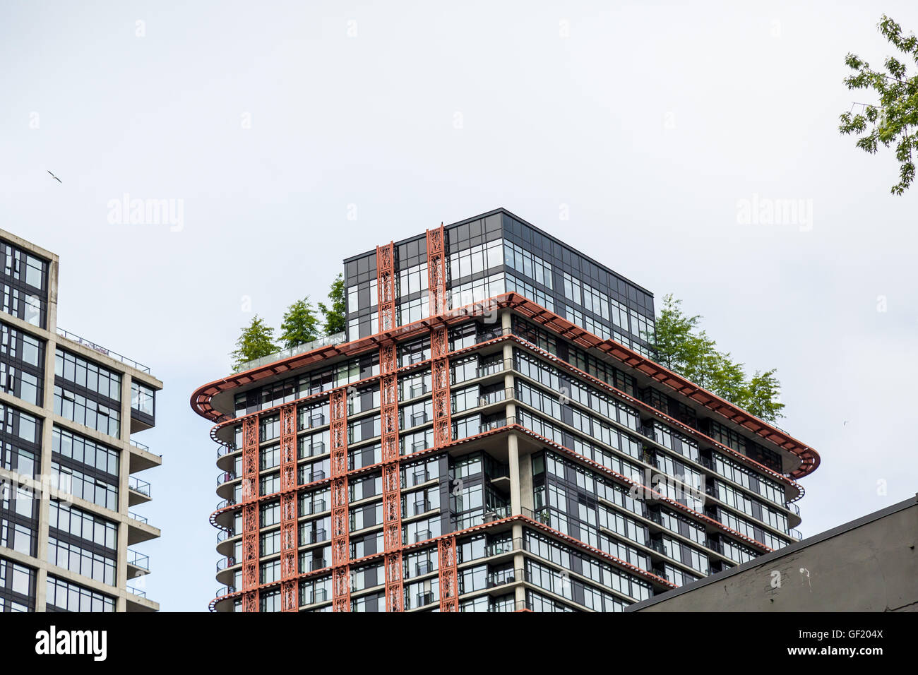 Trees on Roof of Luxury Condo in Vancouver Stock Photo - Alamy
