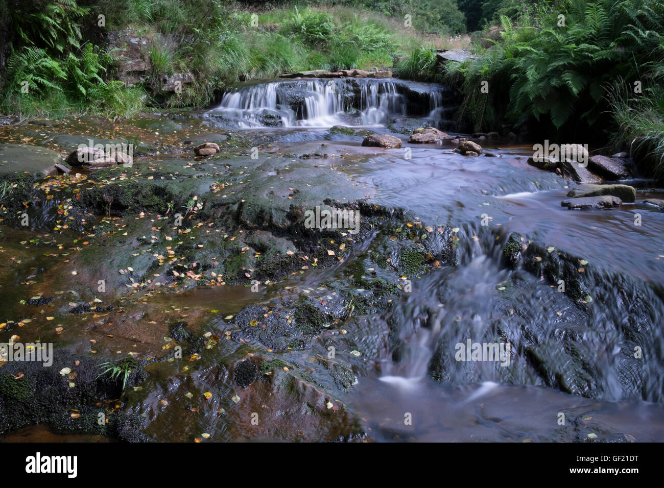 A small stream running over a small waterfall into a larger pool Stock ...