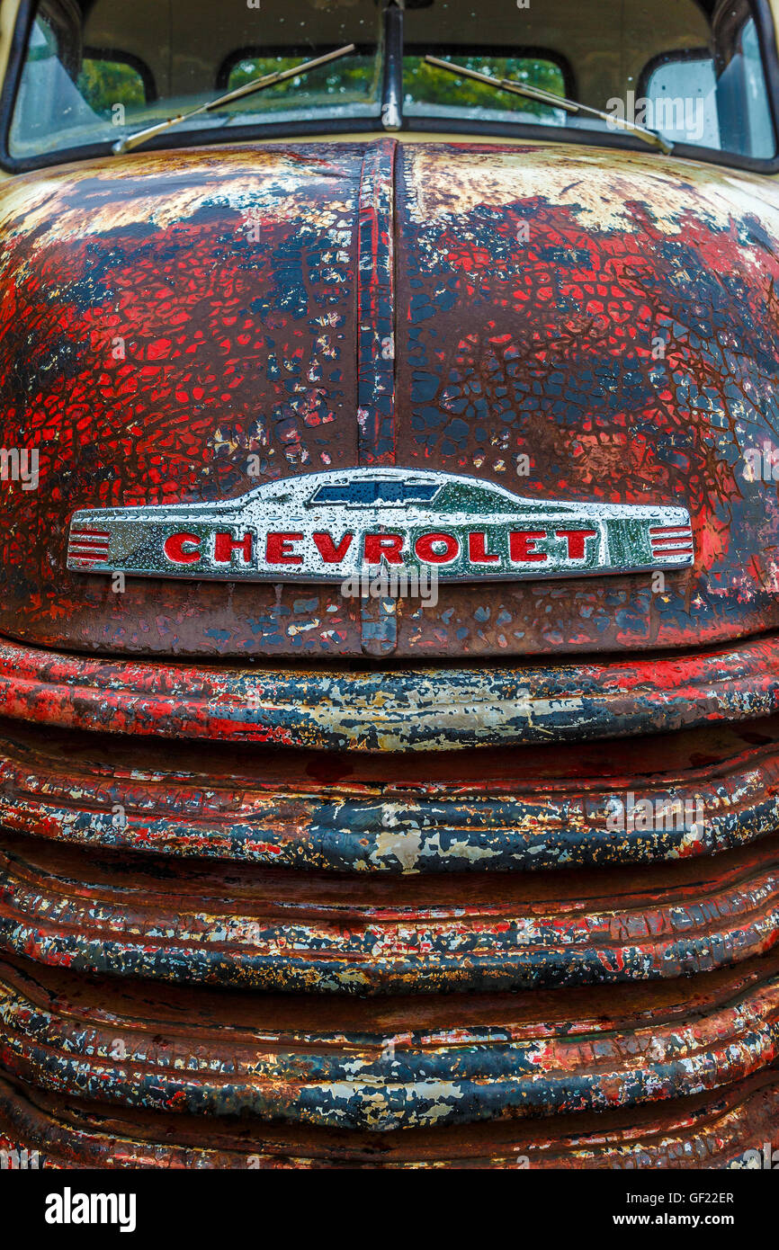 1950 Chevrolet Stepside 4.2 litre pick-up, 104XUY, in the paddock at ...