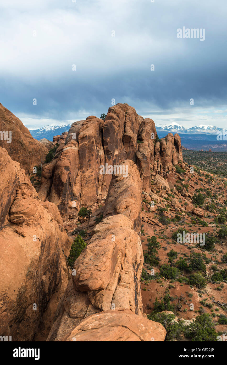 Devils Garden, Arches National Park, Utah, USA Stock Photo - Alamy