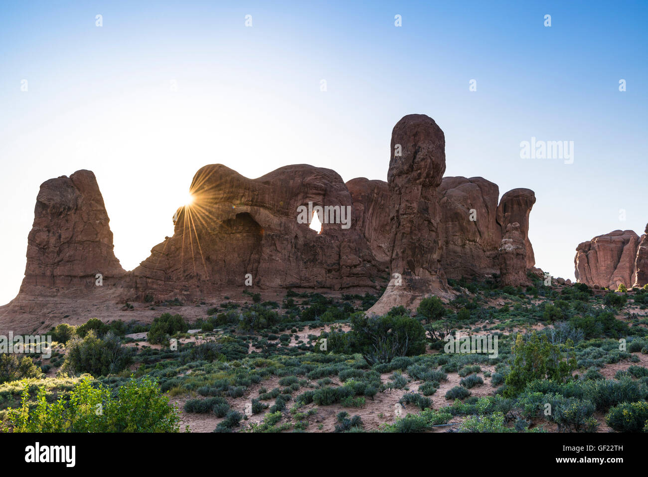 Parade of elephants at sunset hi-res stock photography and images - Alamy