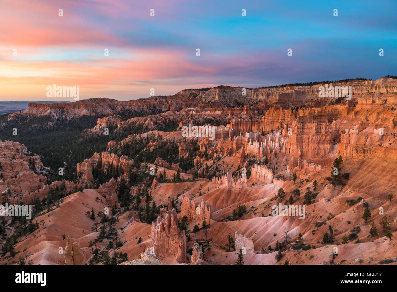 Amphitheater, Bryce Canyon National Park, Utah, USA Stock Photo - Alamy