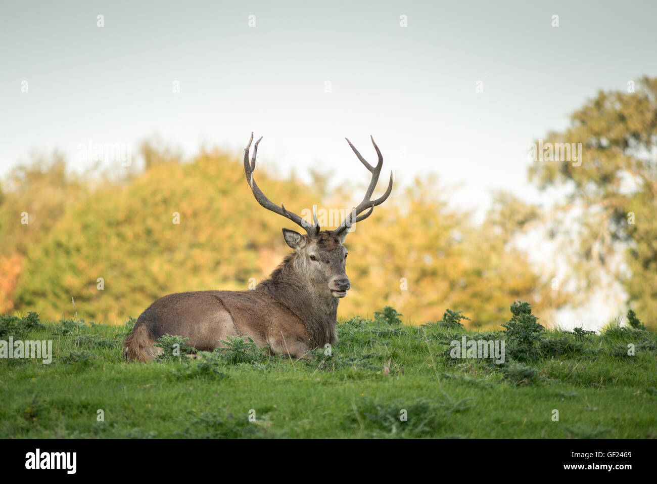 Havier hi-res stock photography and images - Alamy