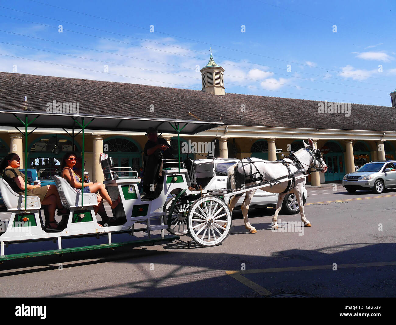 Carriage Ride in New Orleans a Louisiana city on the Mississippi River ...