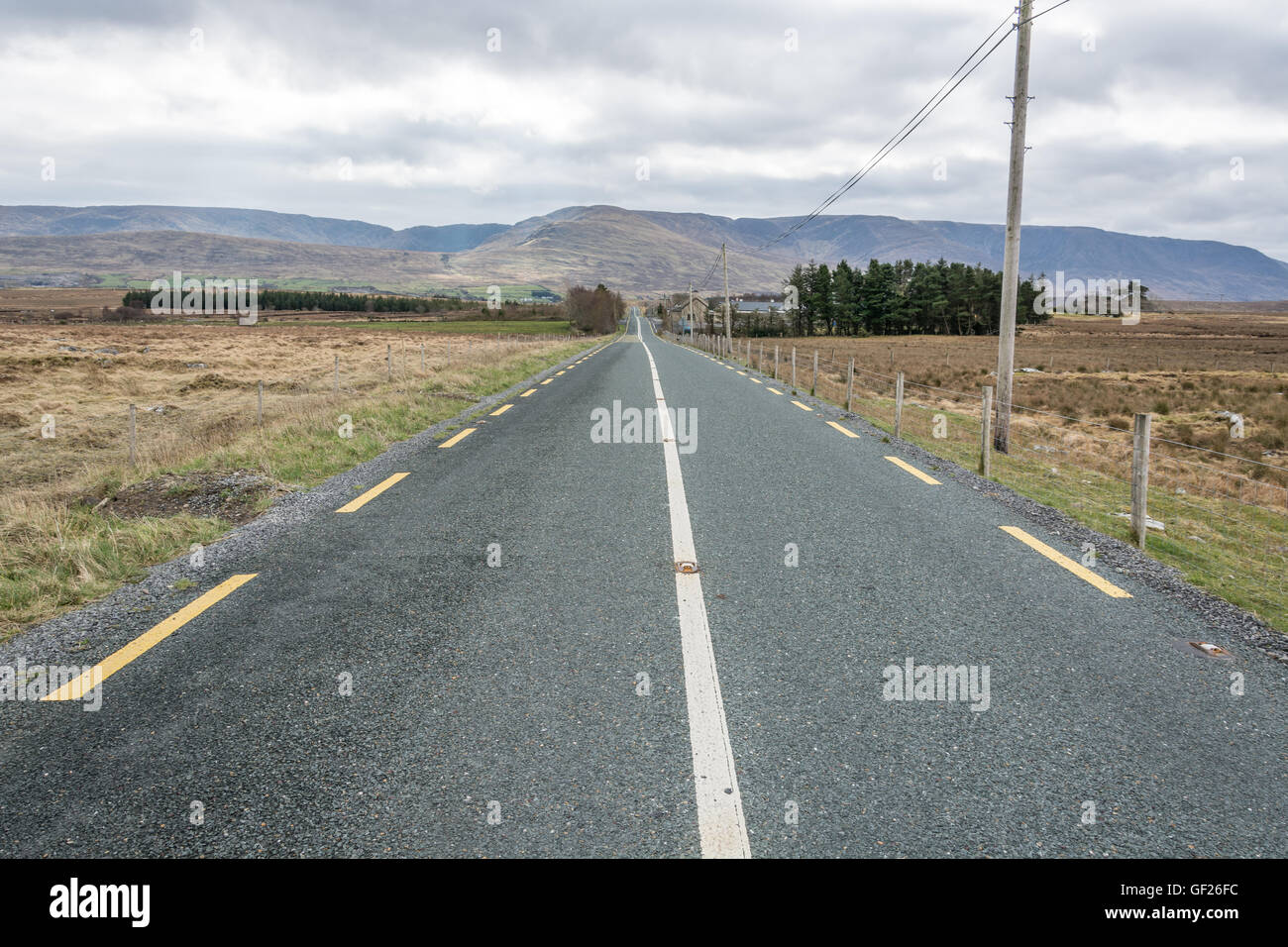 Irish roots hi-res stock photography and images - Alamy