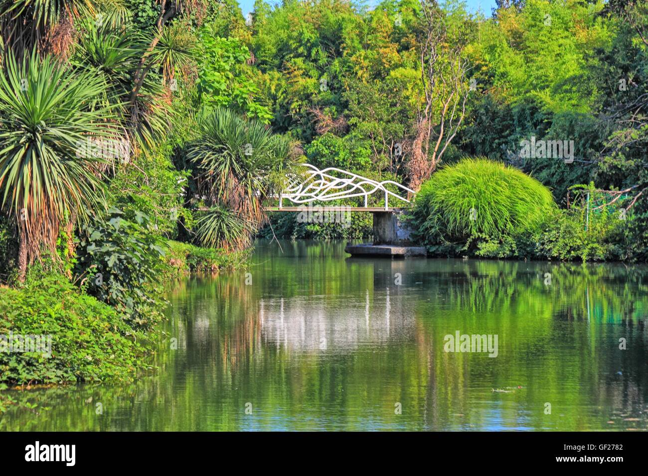 Botanical garden with a pond Stock Photo - Alamy