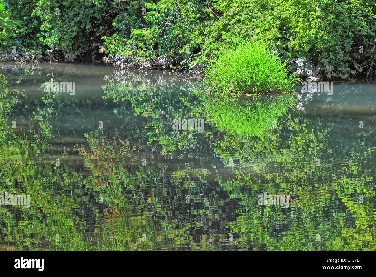 Silent environment hi-res stock photography and images - Alamy