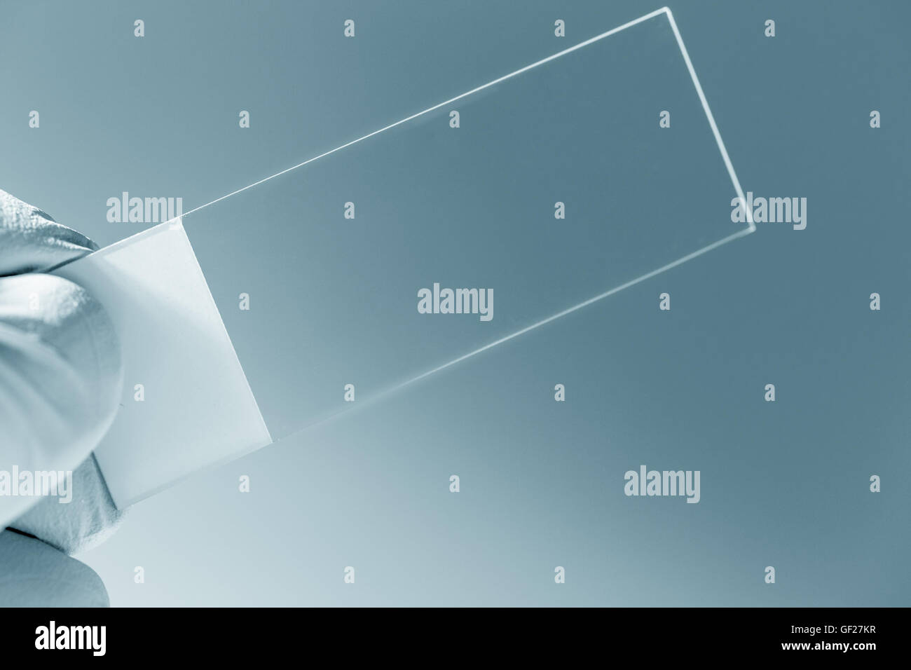 Microscope slide microbiology hand hi-res stock photography and images ...