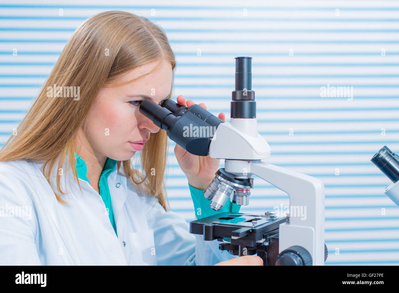 Looking through microscope hi-res stock photography and images - Alamy