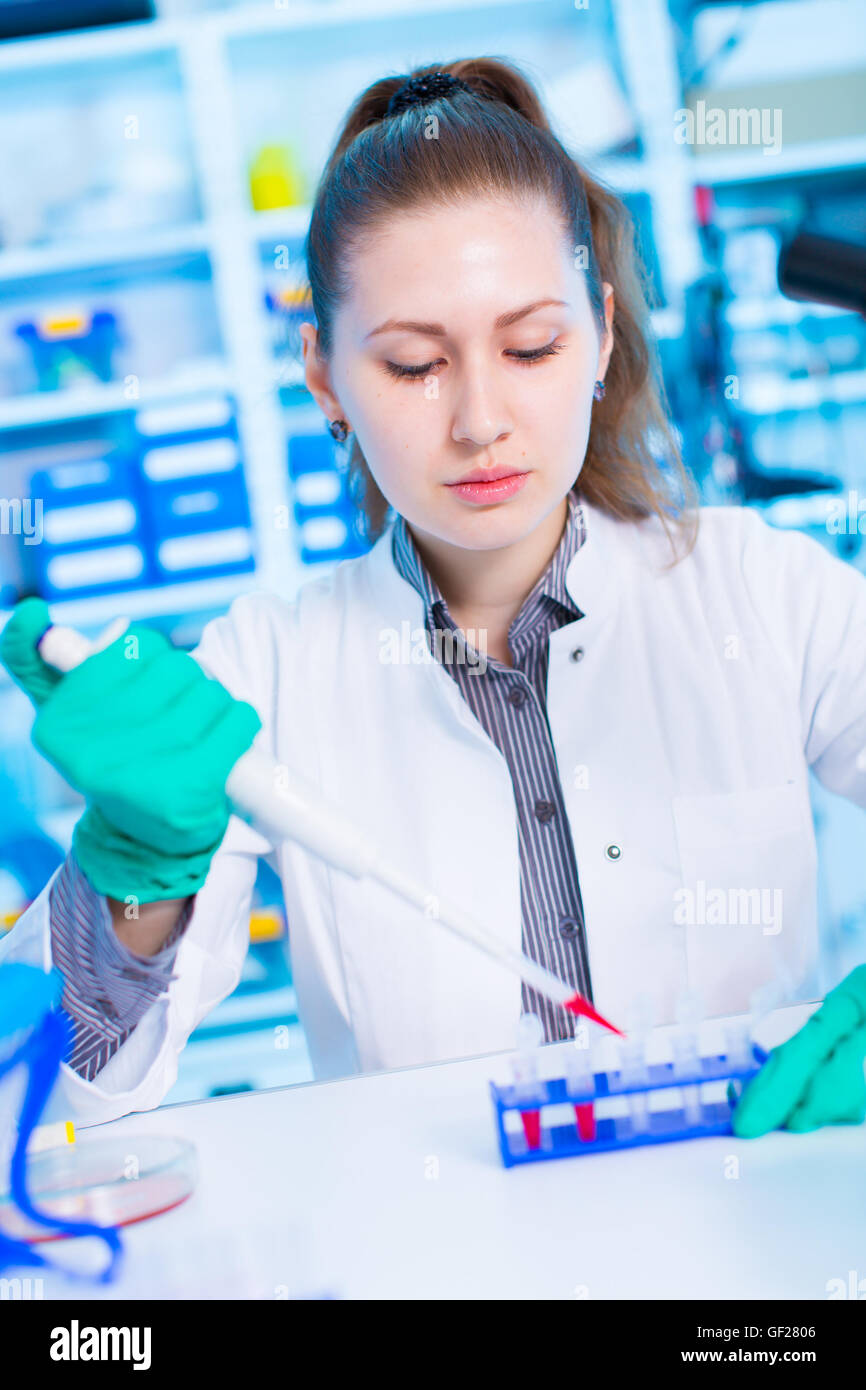 Young female scientist loads samples for DNA amplification by PCR into ...