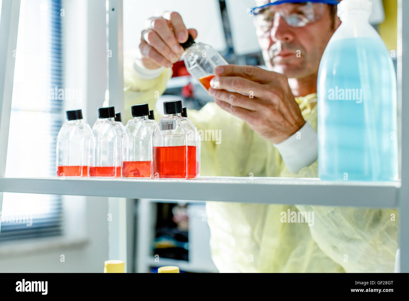 Growing bioculture in the laboratory Stock Photo - Alamy