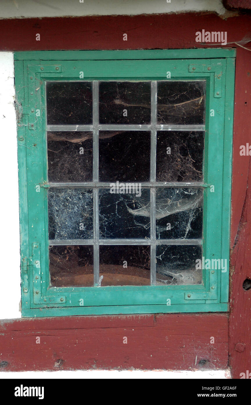 Dirty window with cobweb in a rather dark and overgrow place Stock ...
