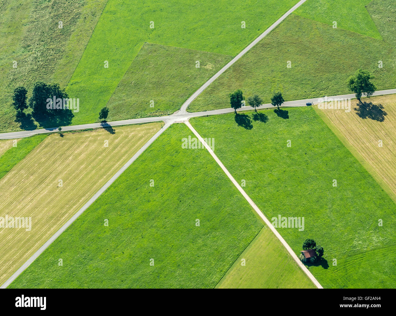Rural road crossing, surrounded by meadows and fields, trees in row ...