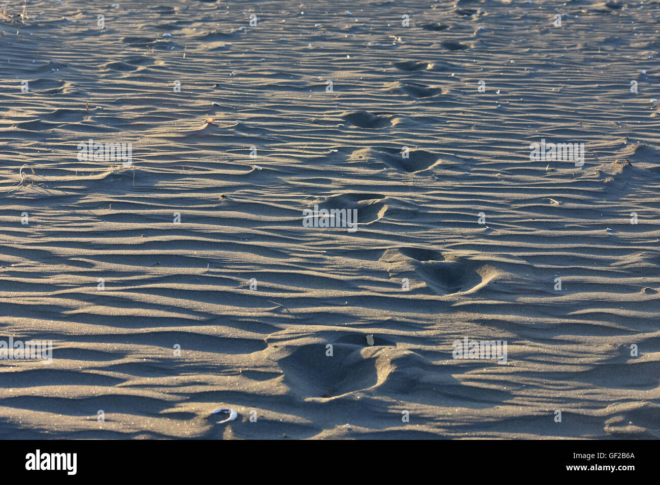 Steps in beach sand Stock Photo - Alamy