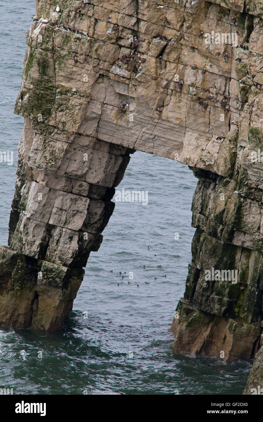 Arch of rocks hi-res stock photography and images - Alamy