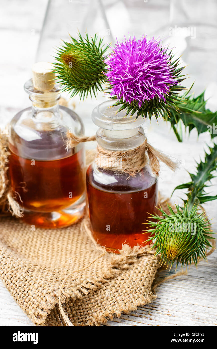 Flowering buds plant Thistle, and a small bottle of medicinal tincture ...