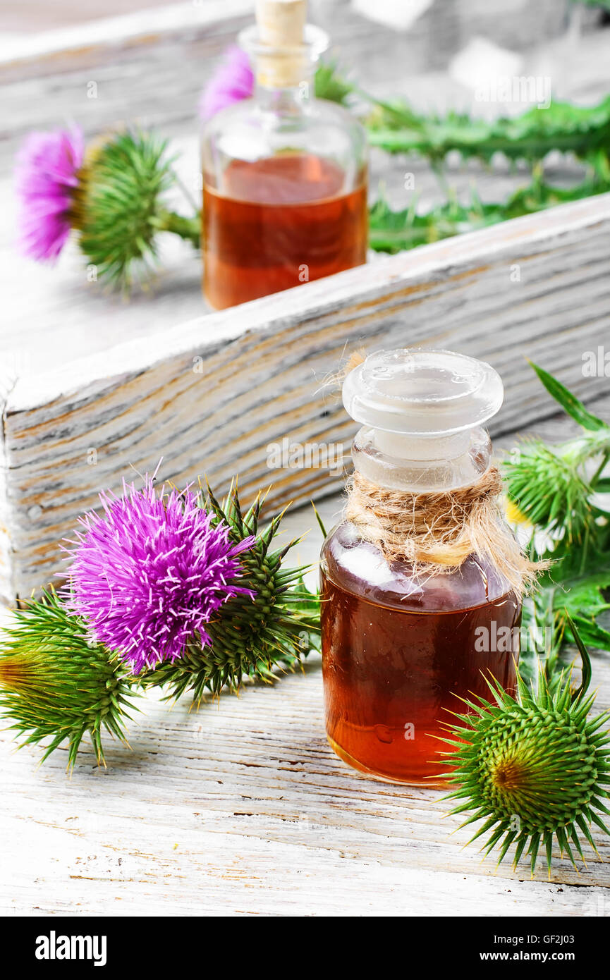 Flowering buds plant Thistle, and a small bottle of medicinal tincture ...