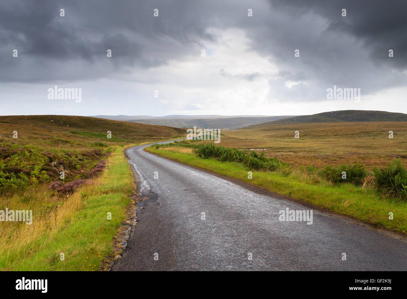 Scottish road trough countryside. Perspective road. Scotland panorama ...