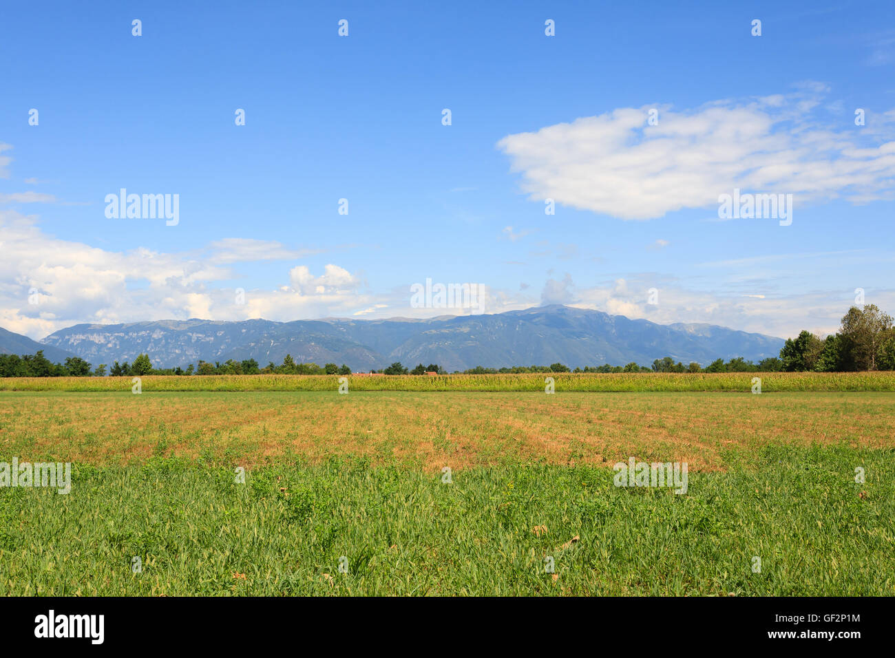 Uncultivated field with mountains in background. Italian agriculture ...