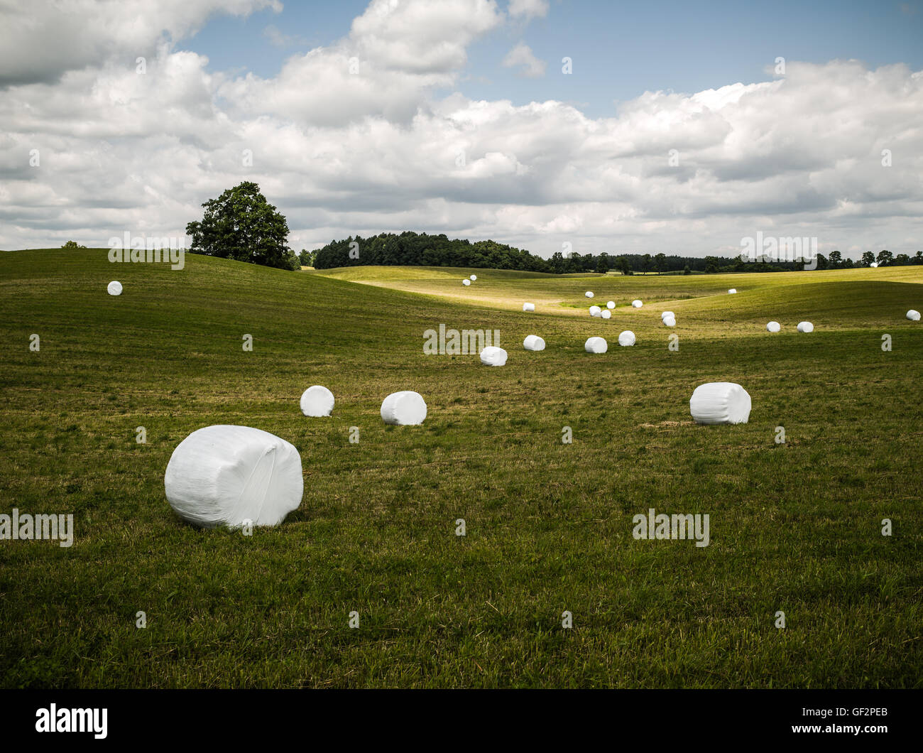 Silage field hi-res stock photography and images - Alamy