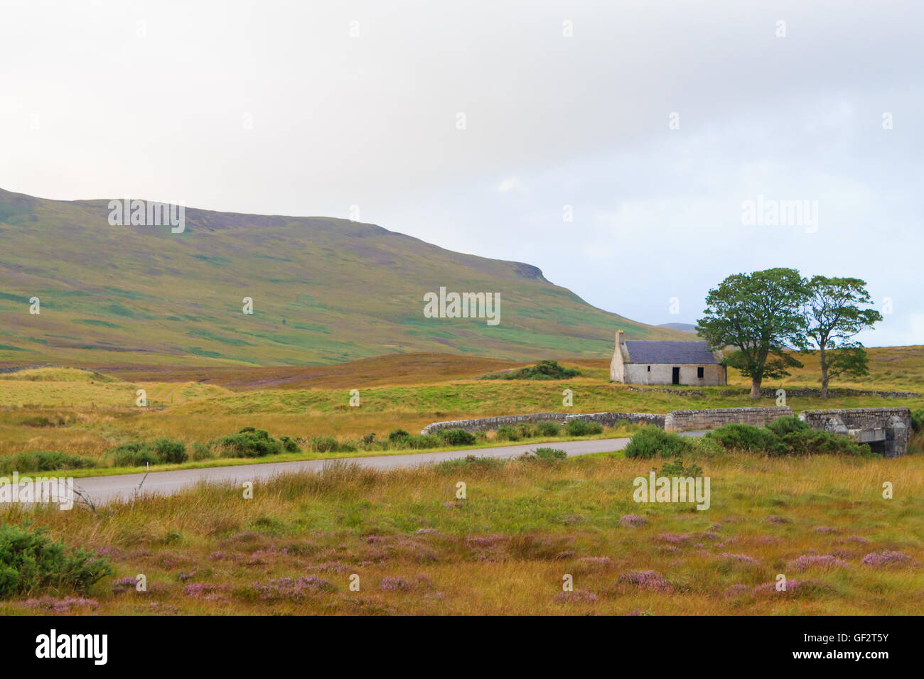 Scottish road trough countryside. Perspective road. Scotland panorama ...