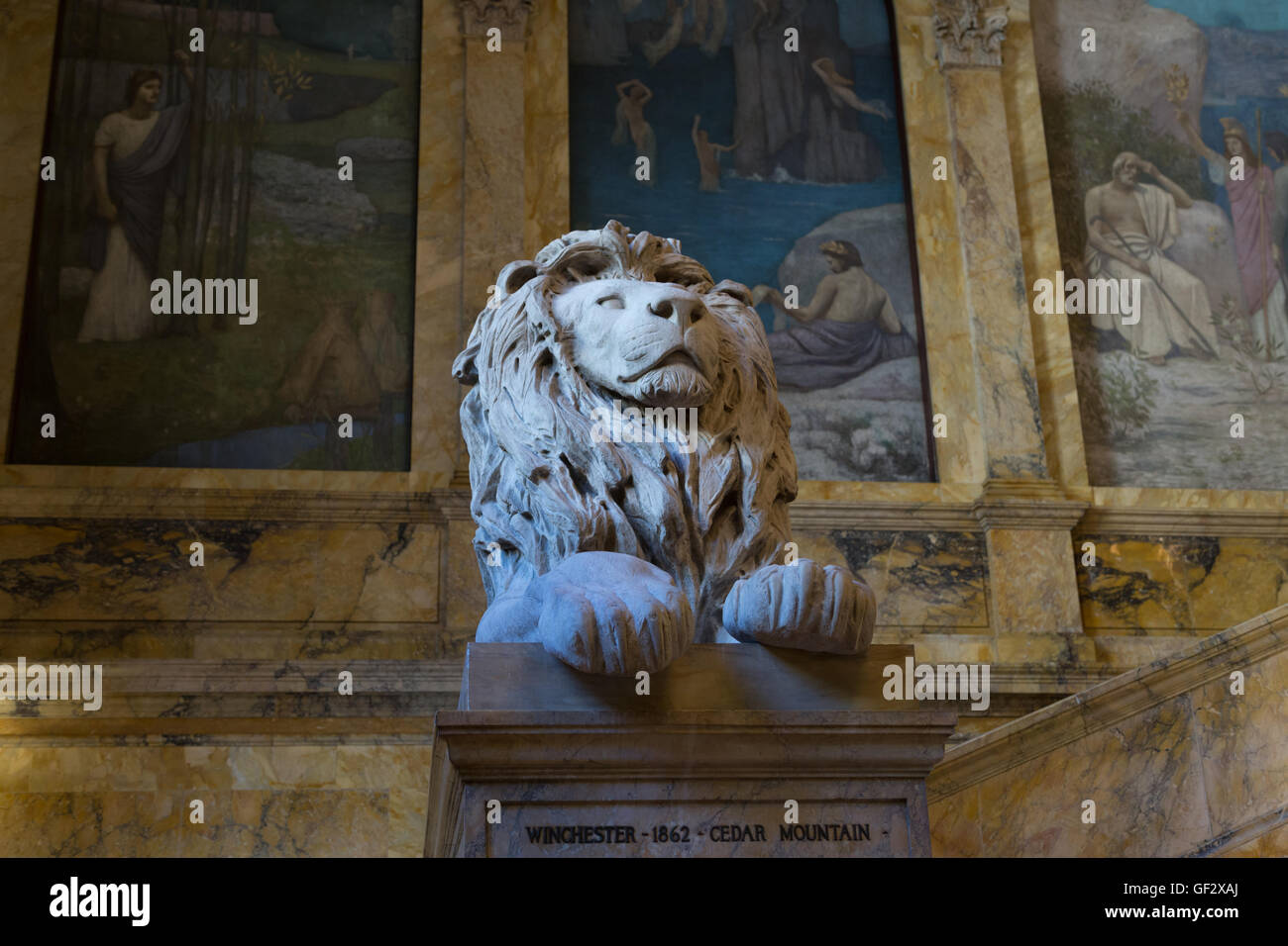 Inside the lion king hi-res stock photography and images - Alamy