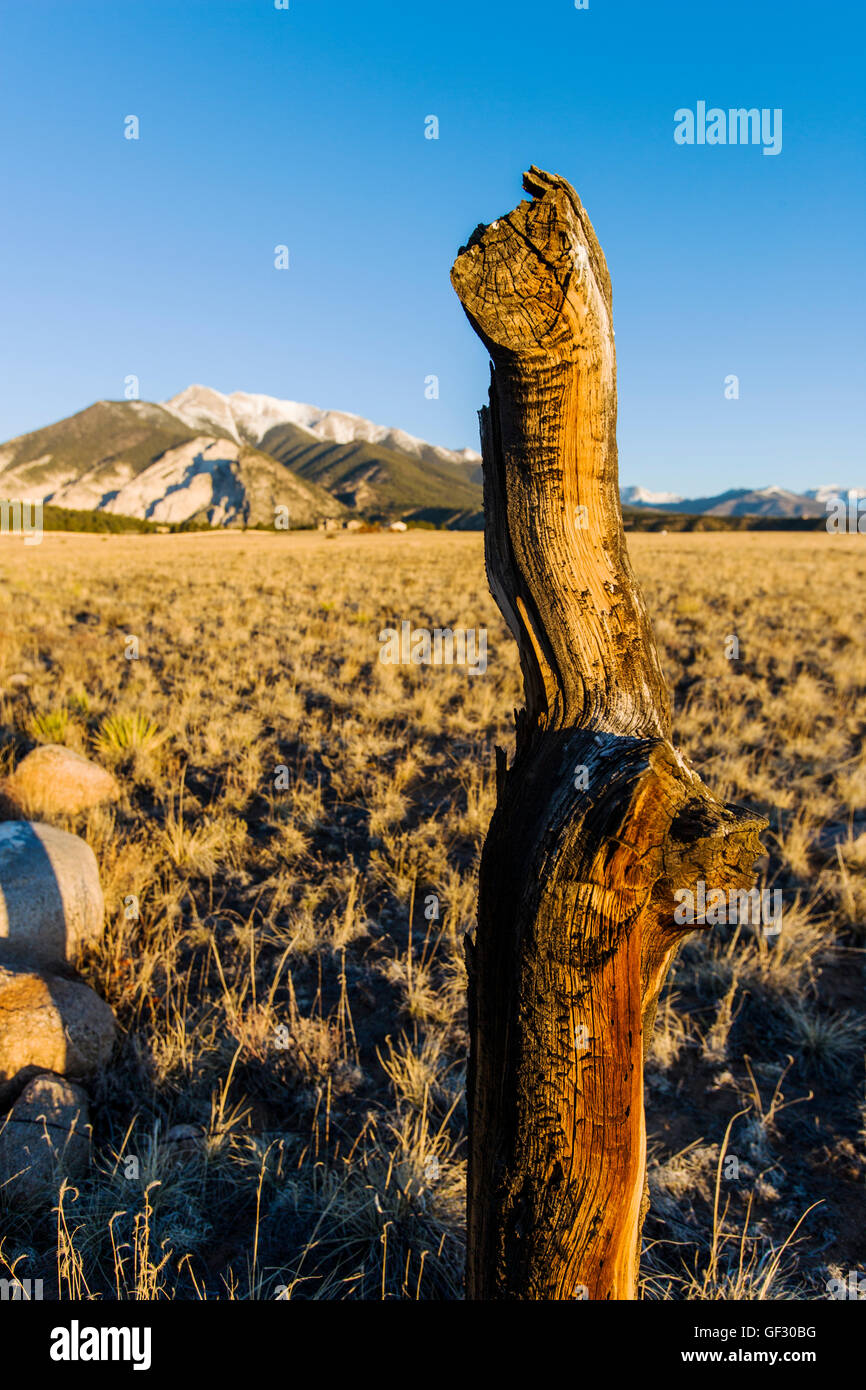 Ranchlands colorado hi-res stock photography and images - Alamy