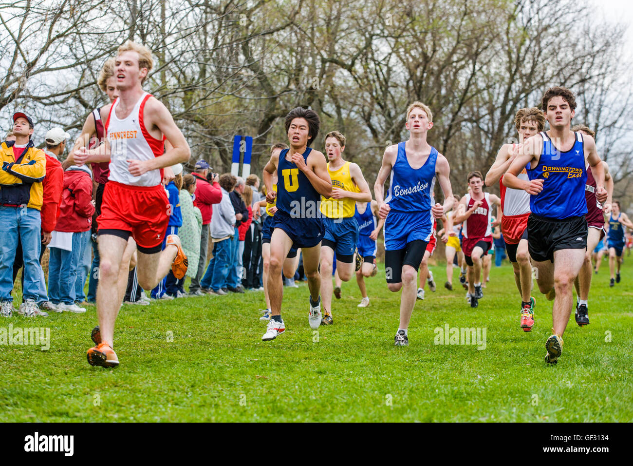Runners compete at a Cross Country District Meet Stock Photo - Alamy