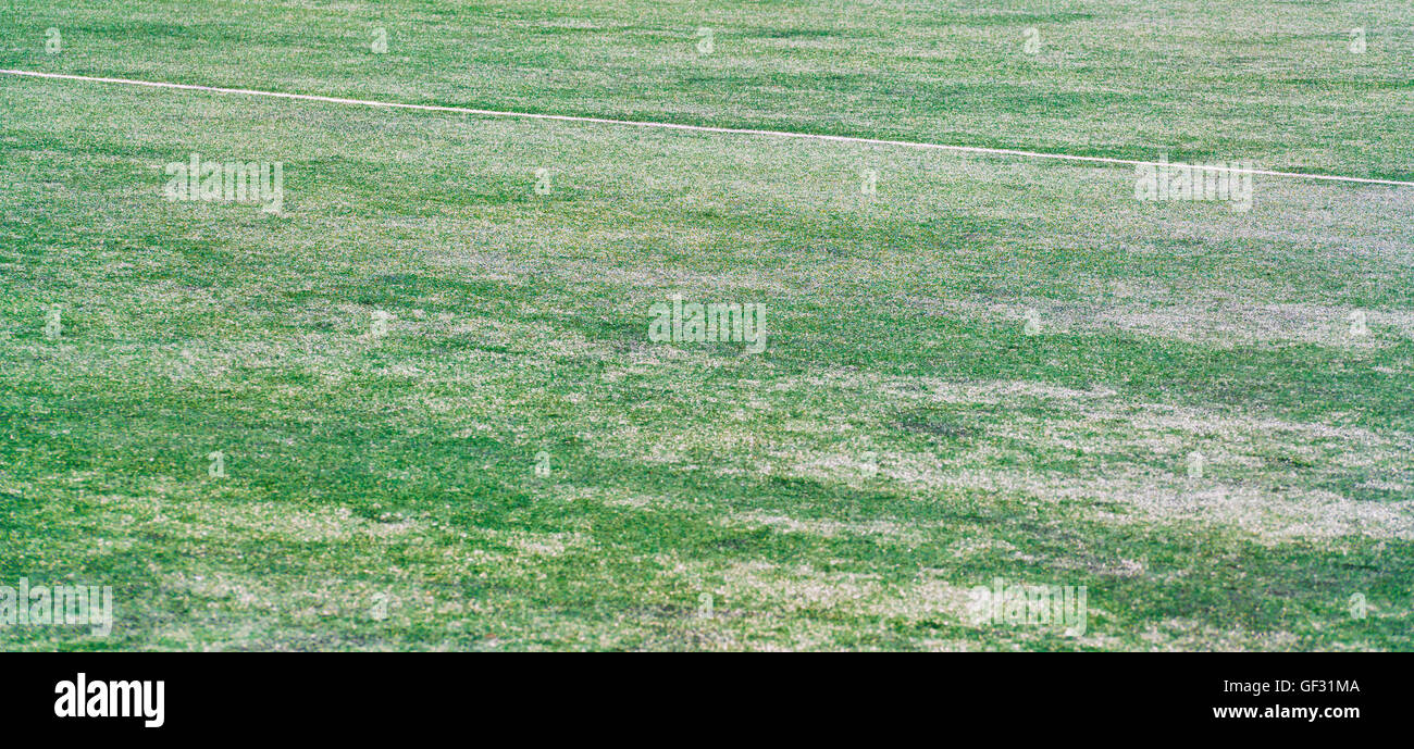 Field grass background hi-res stock photography and images - Alamy