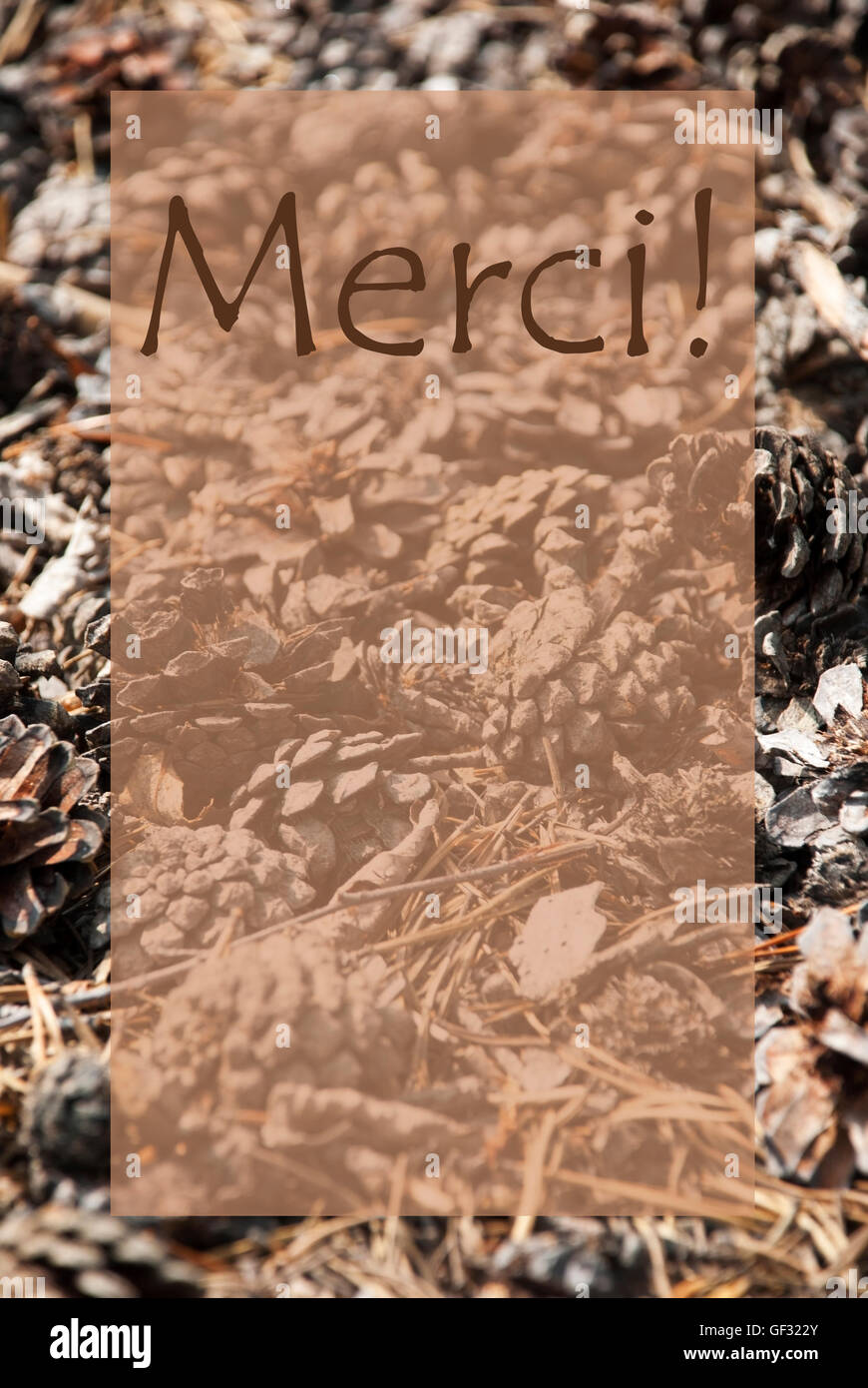 Vertical Autumn Card, Merci Means Thank You Stock Photo - Alamy