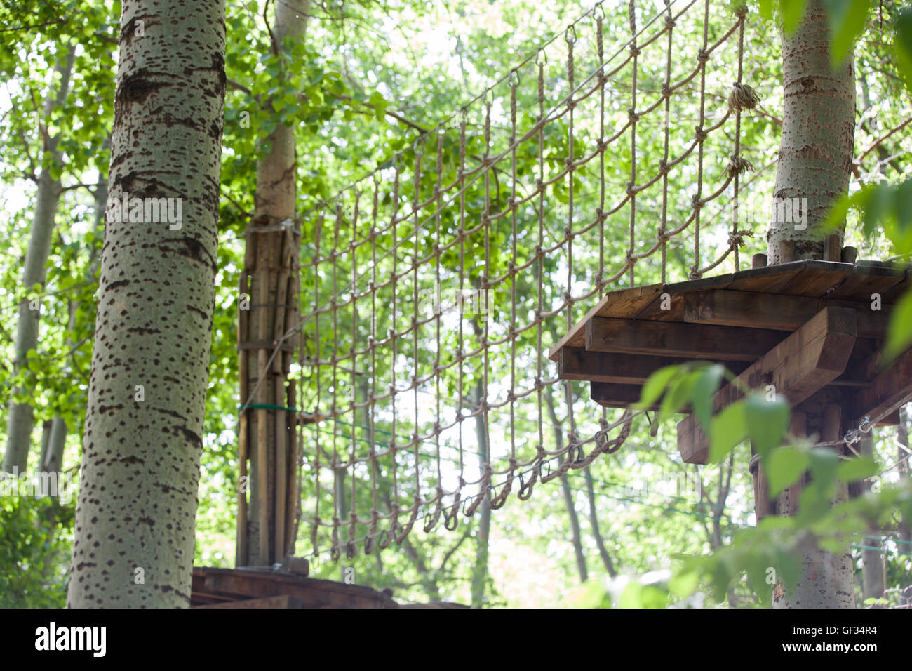 Tree top adventure park Stock Photo - Alamy