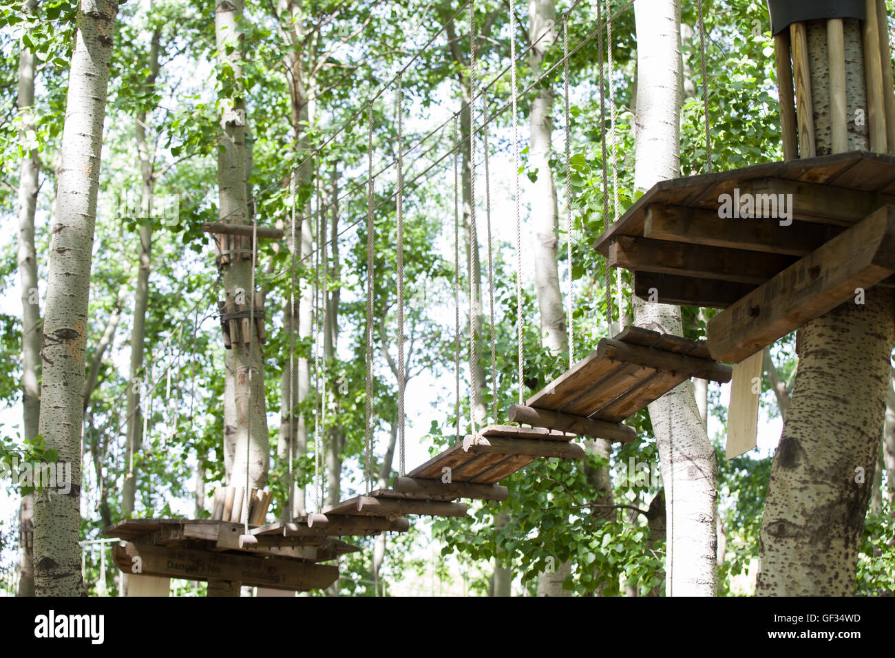 Tree top adventure park Stock Photo - Alamy
