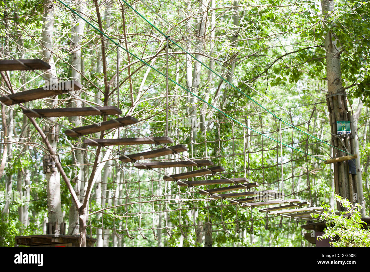 Tree top adventure park Stock Photo - Alamy