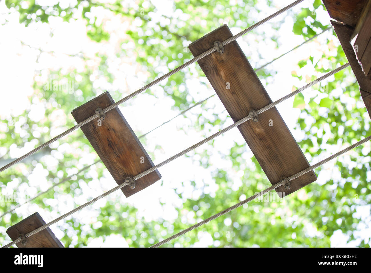 Tree top adventure park Stock Photo - Alamy
