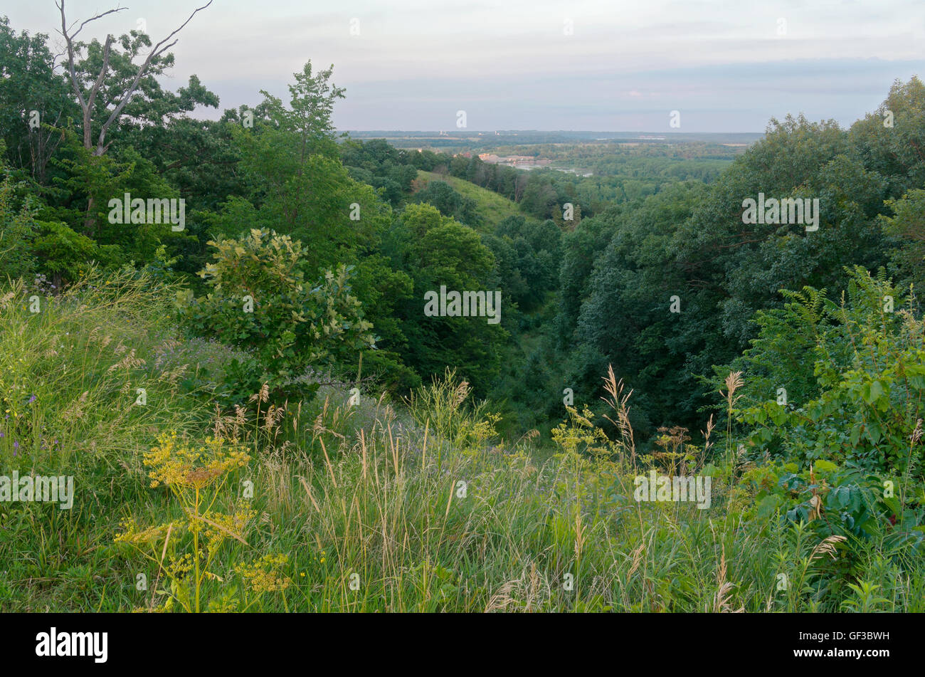 pine bend bluffs scientific and natural area overlooking mississippi ...