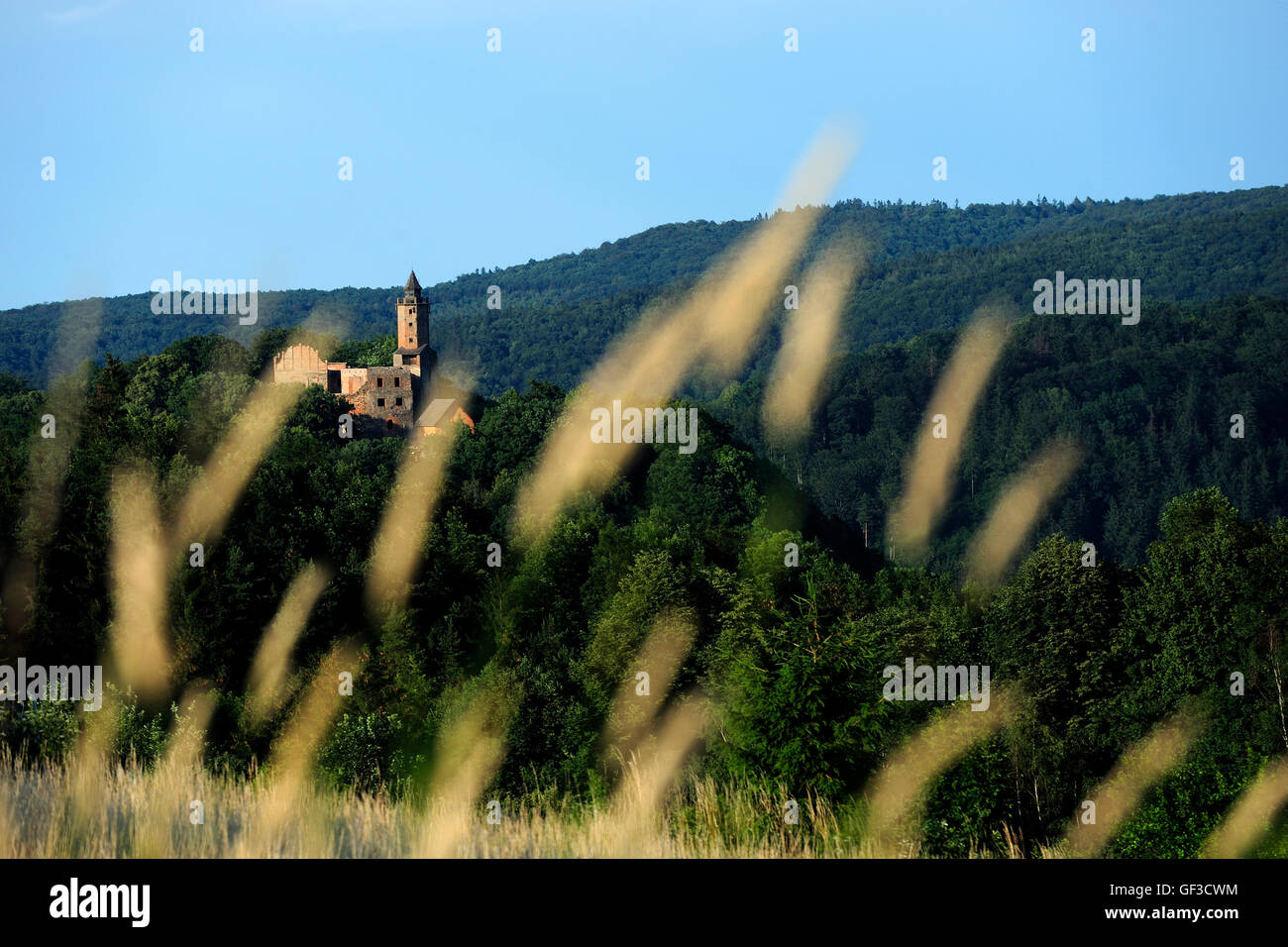 Sl train hi-res stock photography and images - Alamy