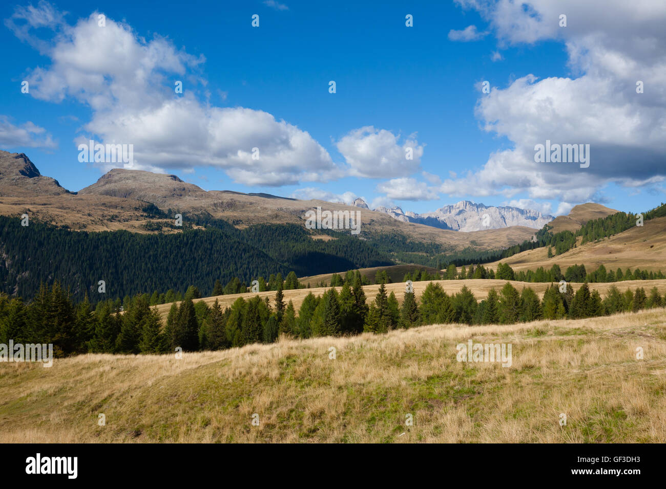 Panorama from Italian Alps from "San Martino di Castrozza". Dolomites ...
