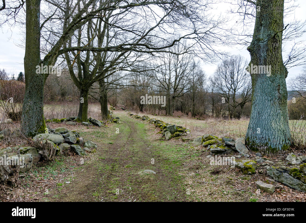 The old country road hi-res stock photography and images - Alamy