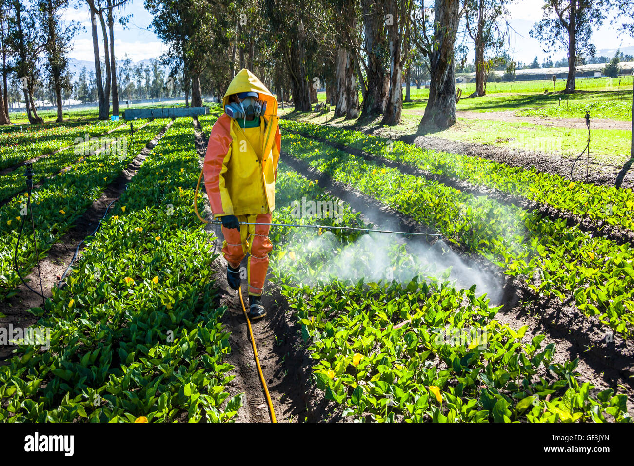 Fumigation and pest control hi-res stock photography and images - Alamy